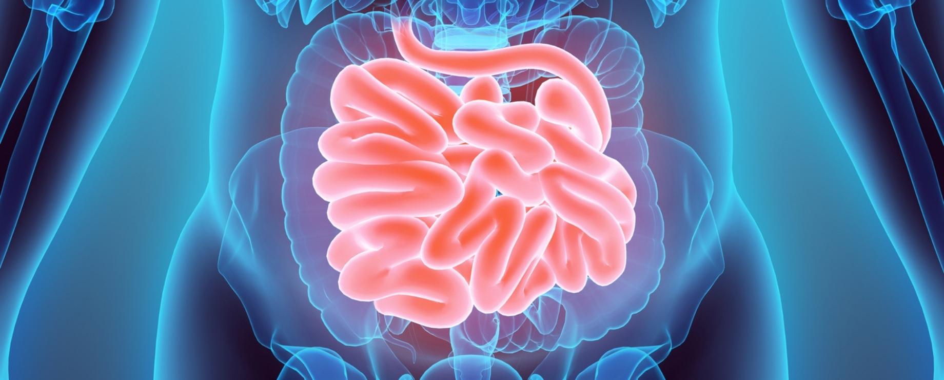 General Surgery | Small Intestine (Bowel) | Aspirus St. Luke's