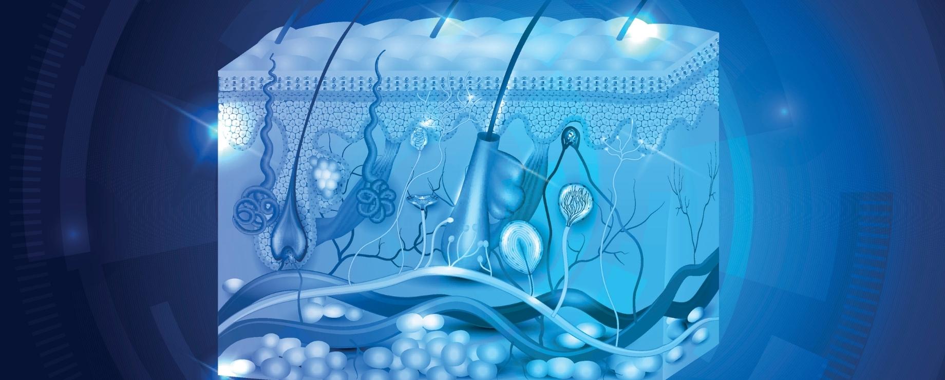 General Surgery | Skin and Soft Tissue | Aspirus St. Luke's