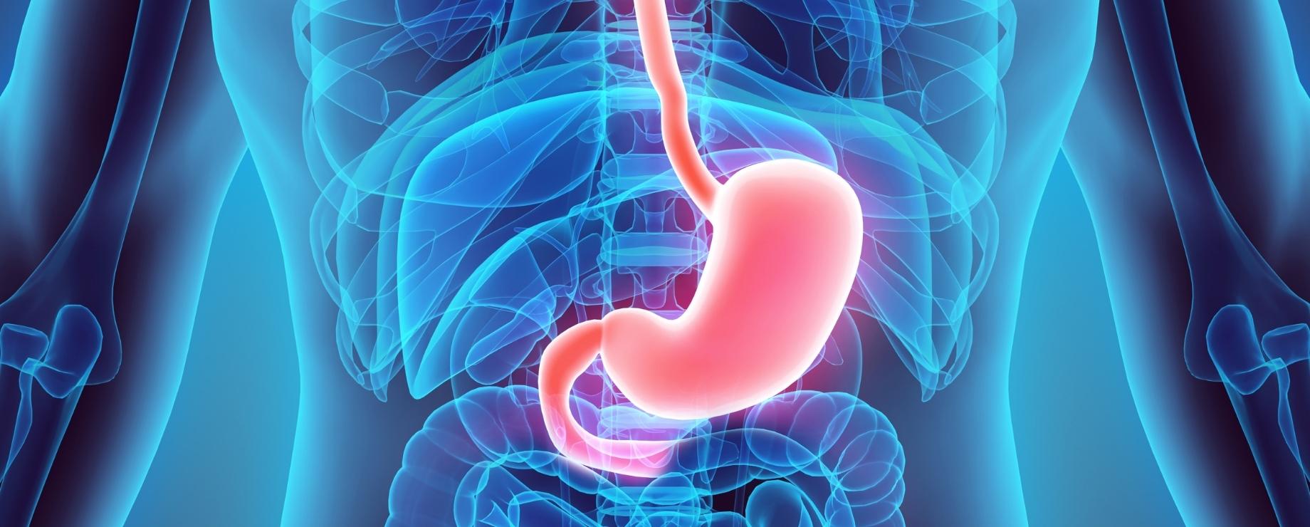 General Surgery | Stomach | Aspirus St. Luke's